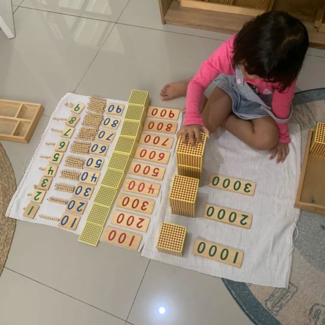 Transferring to Sort and Match Activities - Rahayu Montessori School ...